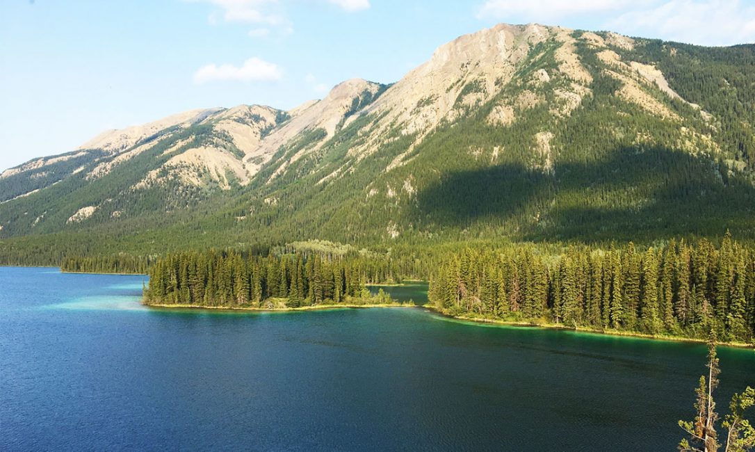 Tsa Cho Forestry – Dease River Development Corporation